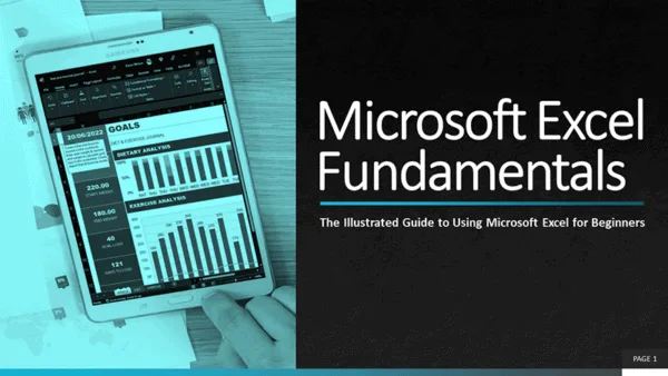 Microsoft Excel Fundamentals - Elluminet Press Books