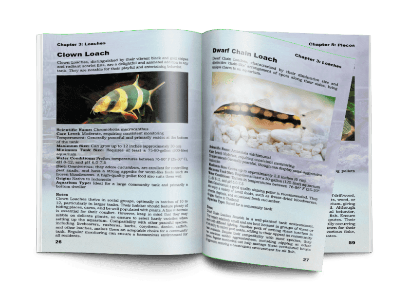 Essential Tropical Fish: Species Guide | Elluminet Press