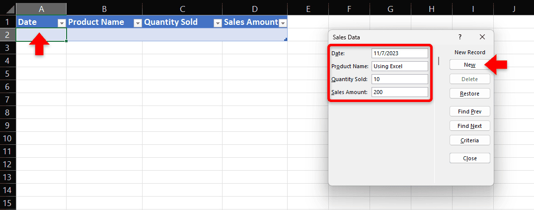 Data Entry Form in Excel | Elluminet Press